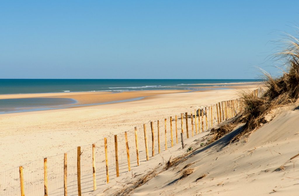 Le Porge se met au vert (et ça fonctionne...) | InfoBassin