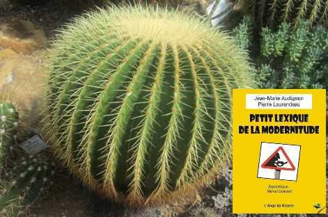 Humour : Episode 1 du Petit Lexique de la Modernitude | InfoBassin